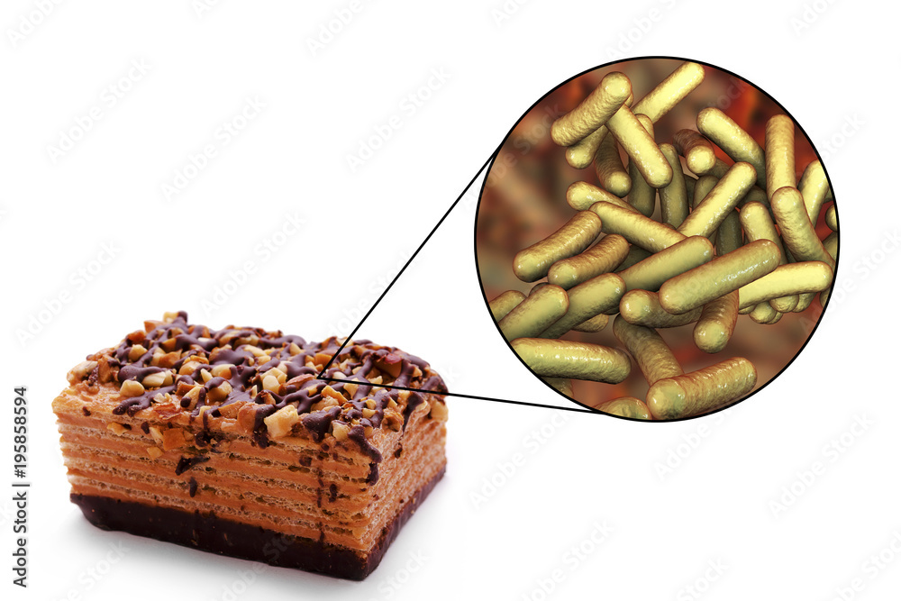 Shigellosis, food borne infections, medical concept, 3D illustration ...