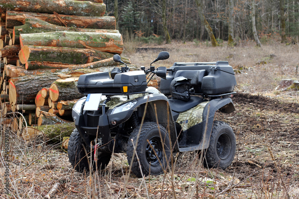Quad im Wald Stock-Foto | Adobe Stock