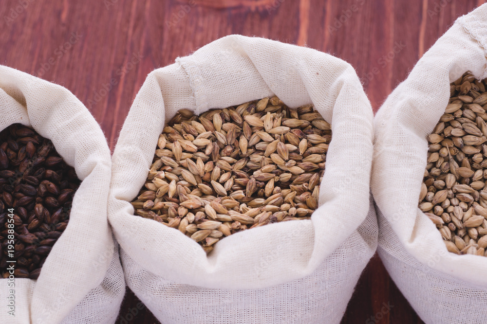 Pale, caramel, chocolate malt in a bags. Craft beer brewing from grain ...
