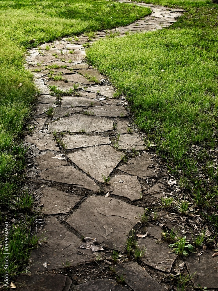 Stone Pathway Outlined with Green Grass Stock Photo | Adobe Stock