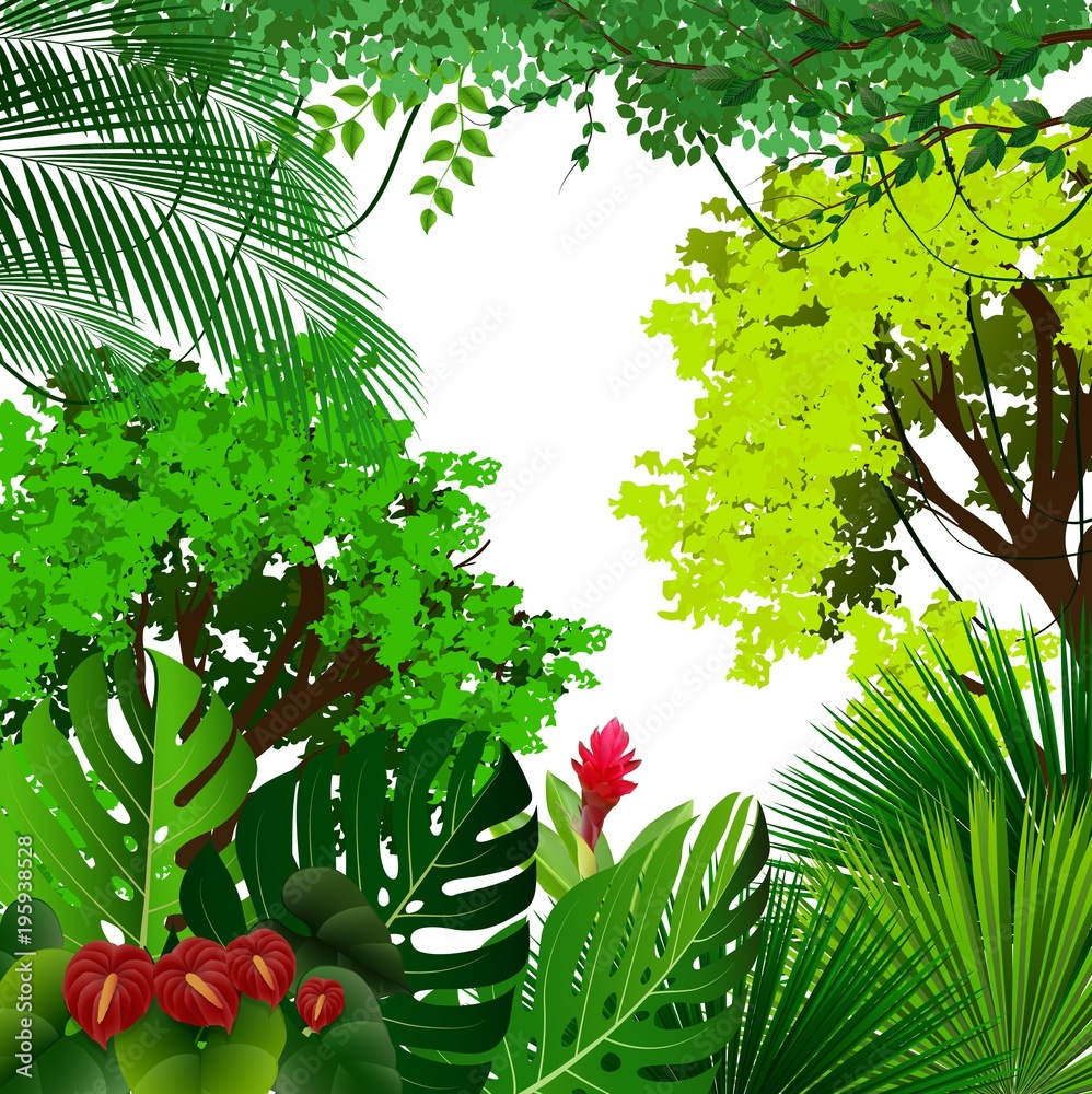 Tropical jungle background with palm trees and leaves on white ...