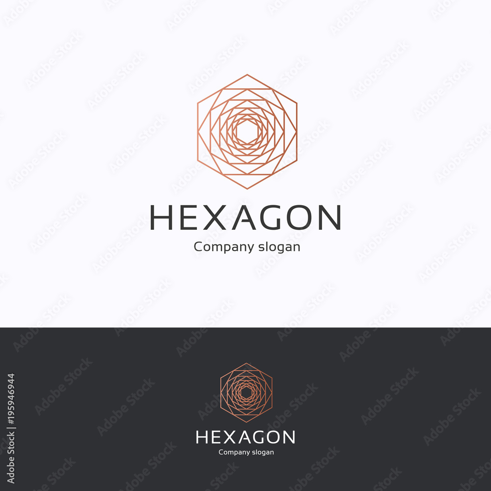 Hexagon rose logo Stock Vector | Adobe Stock
