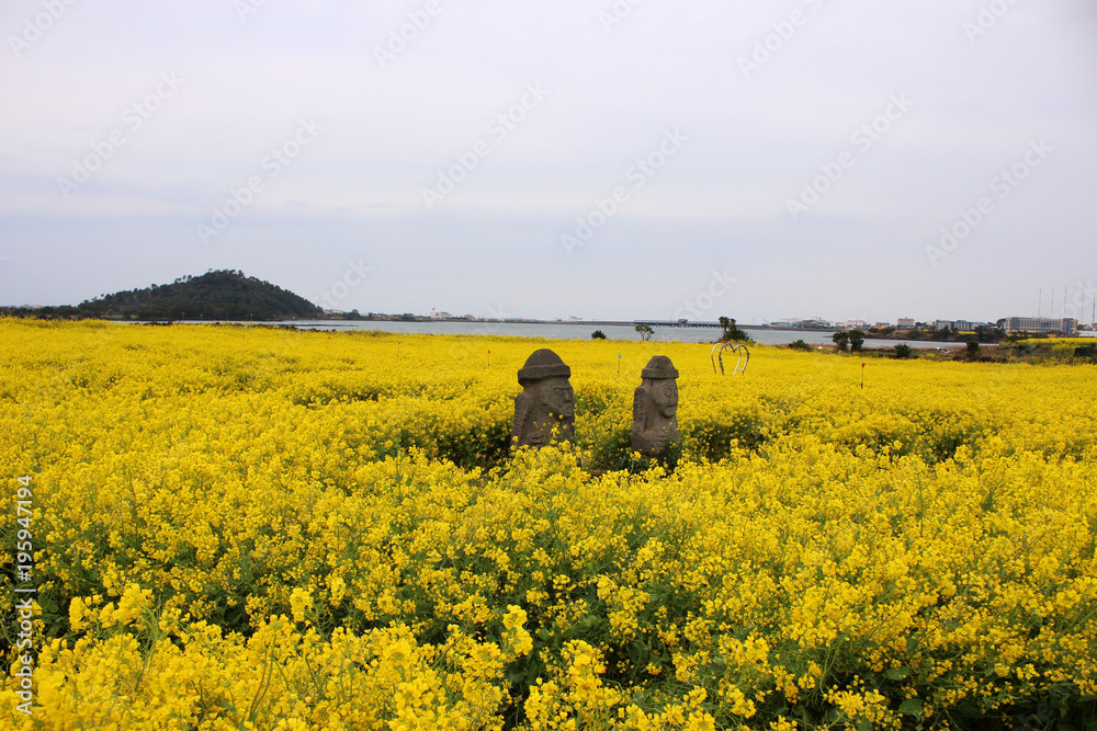 Beautiful Scenery of Jeju Island / Scenery Picture of Jeju Island ...