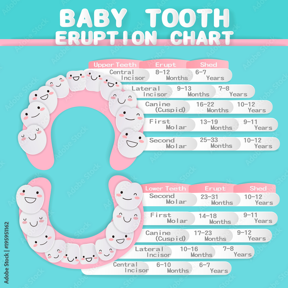 cartoon baby tooth Stock Vector | Adobe Stock