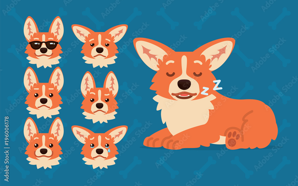 Cute Welsh Corgi constructor. Vector illustration of Corgi dog slipping ...