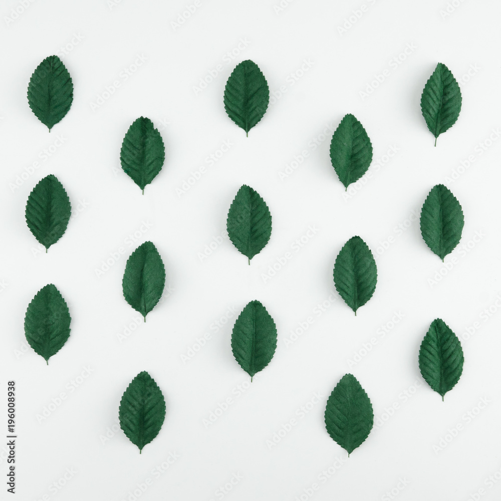 Green paper leaves pattern on white background Stock Photo | Adobe Stock