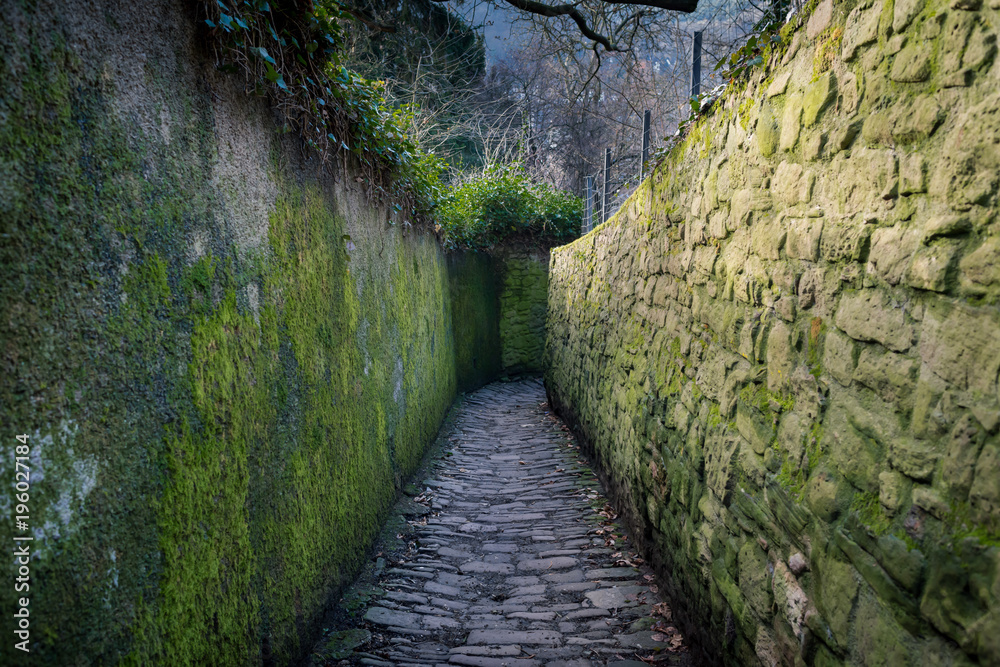 Unusual stone road in the park. Colorful passage in recreation area ...
