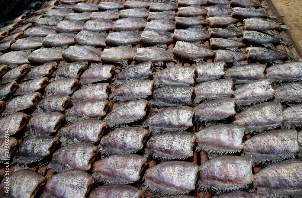 Trichogaster pectoralis,Fish is one of the most popular foods in ...