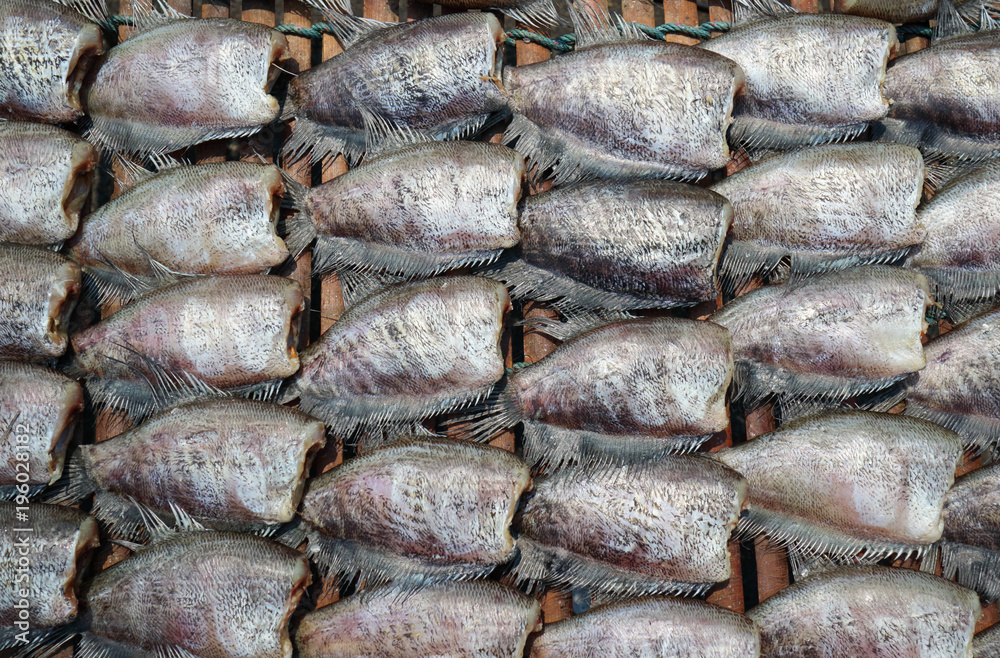 Trichogaster pectoralis,Fish is one of the most popular foods in ...