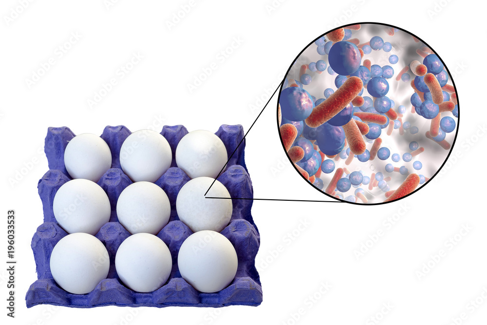 Contamination of eggs with bacteria, medical concept for transmission ...