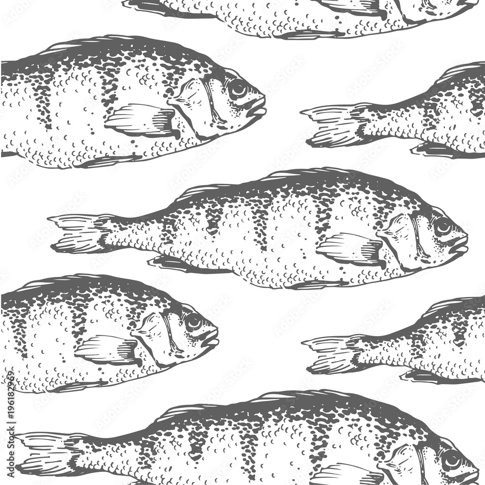 Vector illustration with sketches of fish. Hand-drawn black and white ...