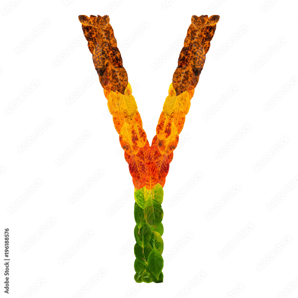 Letter Y In Nature