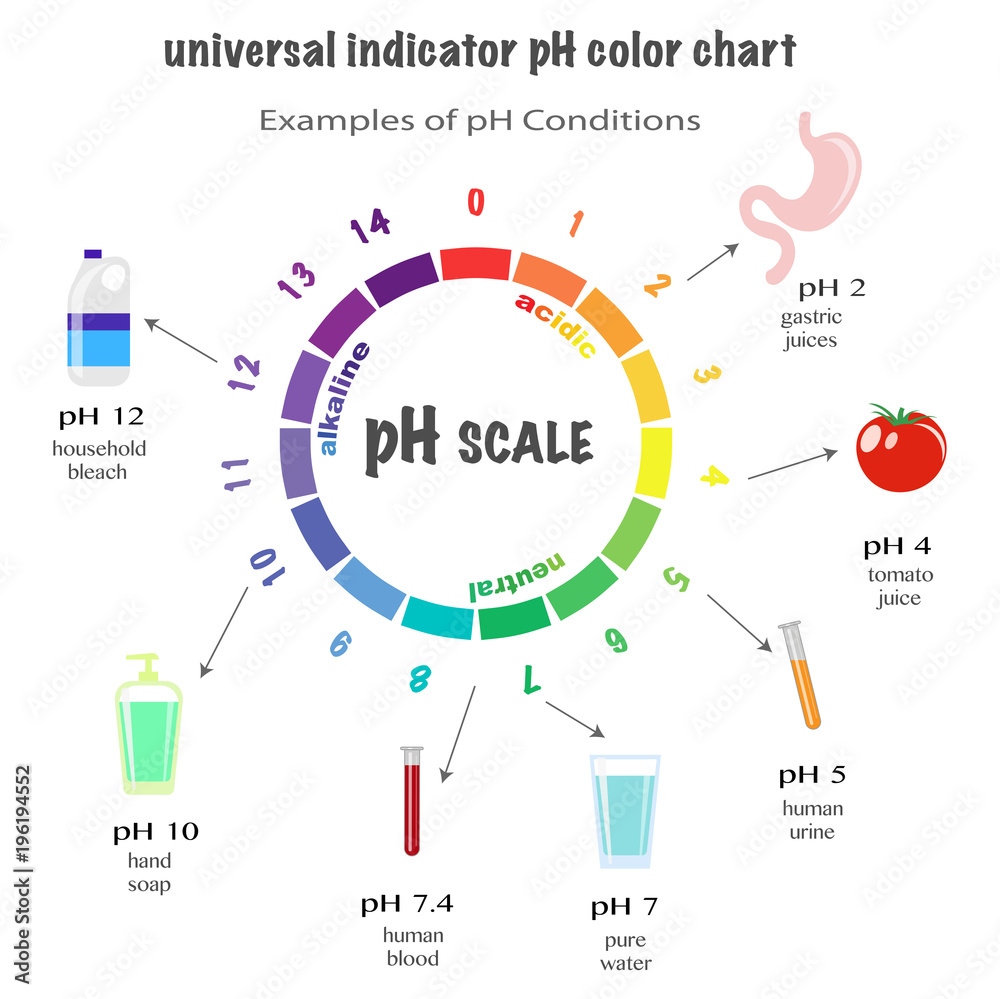 Scale Of Ph Value For Acid And Alkaline Solutions Infographic Acid scale-of-ph-value-for-acid-and-alkaline-solutions-infographic-acid