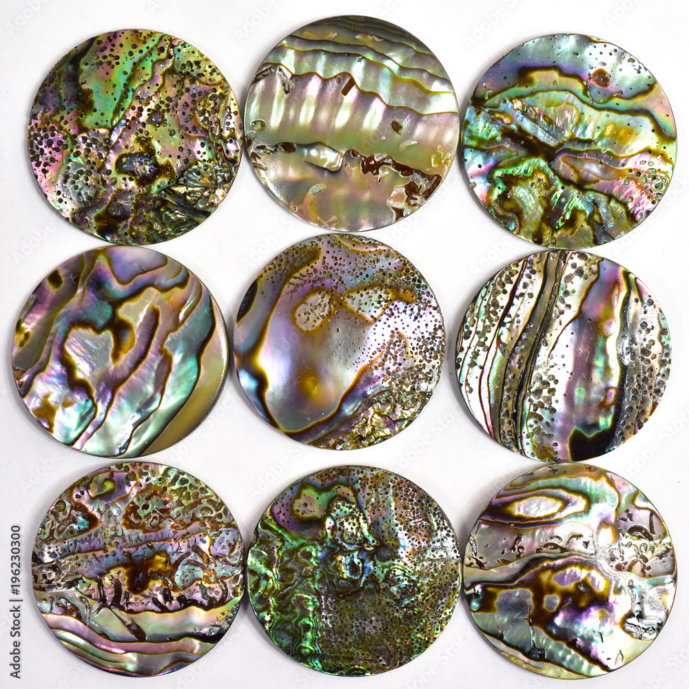 Mother of pearl shells Stock Photo | Adobe Stock