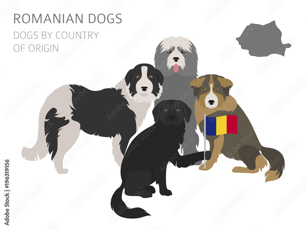 What Color Are Romanian Raven Shepherd Dog Dogs