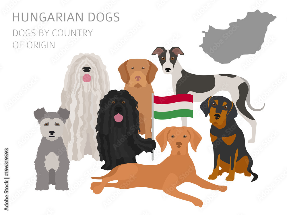 Dogs by country of origin. Hungarian dog breeds. Infographic template ...