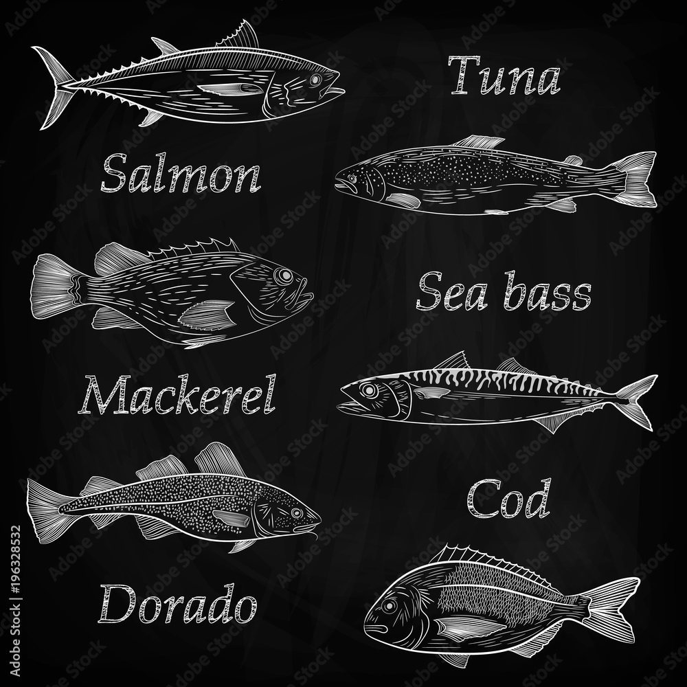 A set of painted popular sea fish and their names.. Tuna, salmon, cod ...