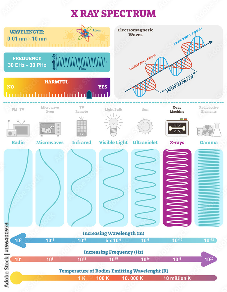 Electromagnetic Waves: X-ray Wave Spectrum. Vector illustration diagram ...