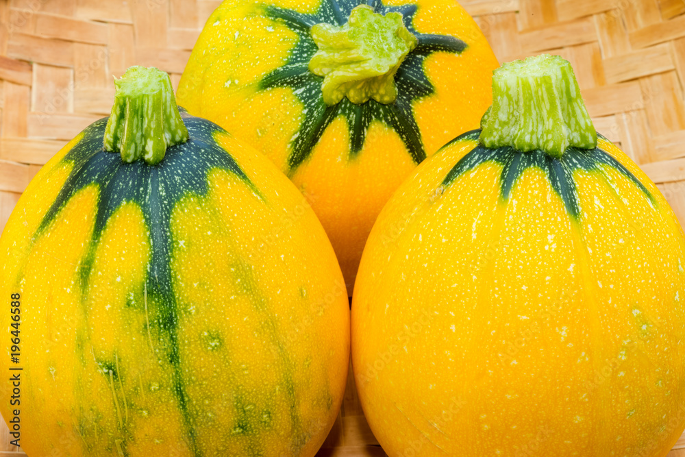 trio de courgettes rondes couleurs Stock Photo | Adobe Stock