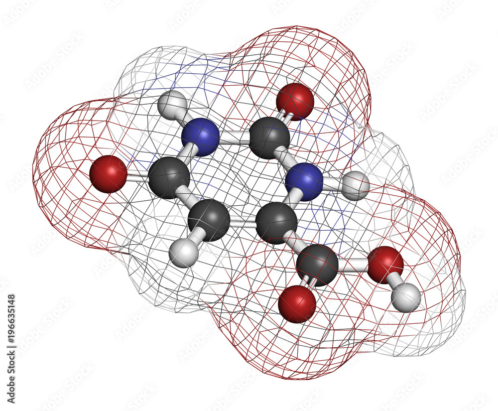 Orotic acid molecule. 3D rendering. Atoms are represented as spheres ...