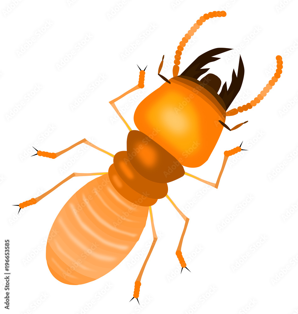 termite with white back ground,cartoon style,isolated vector ...