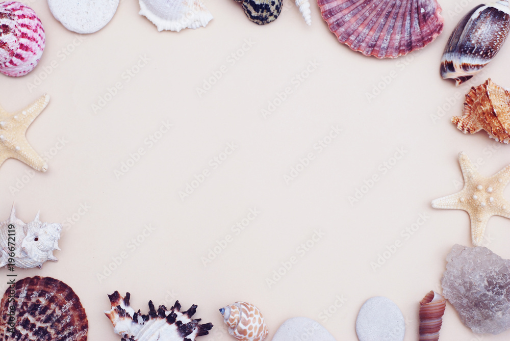 Sea Shells Frame on Neutral Ivory Backgroundwith Copy space for Text ...