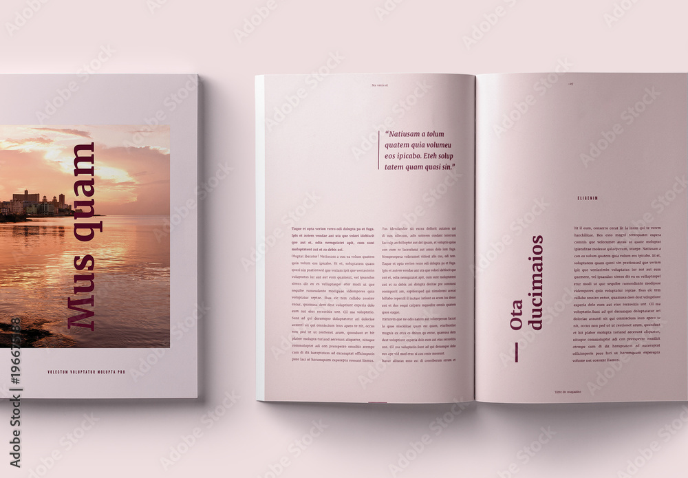 Mise en forme magazine élégante Stock Template | Adobe Stock
