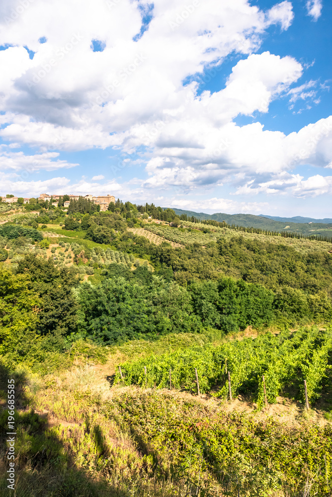 The Landscape in Tuscany is just beautiful with all those Vineyards ...
