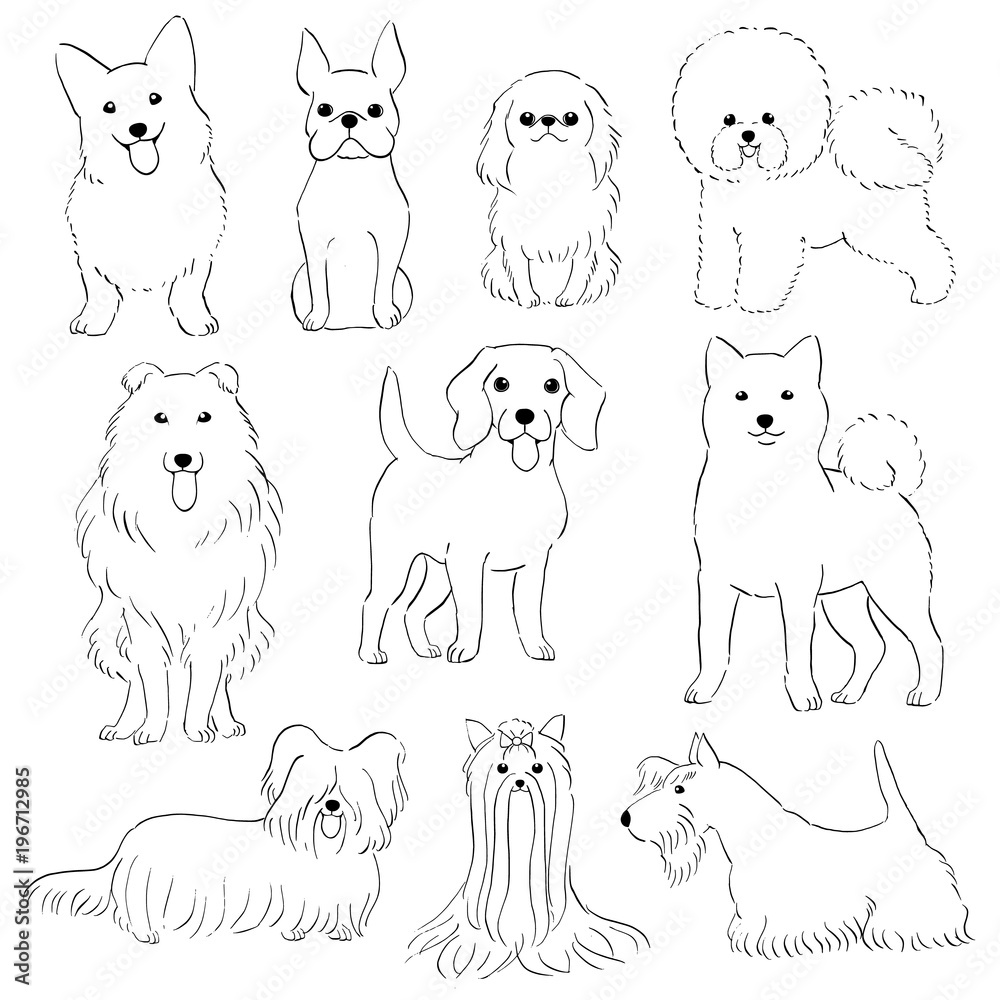 group of small dogs hand drawn line art Stock Vector | Adobe Stock