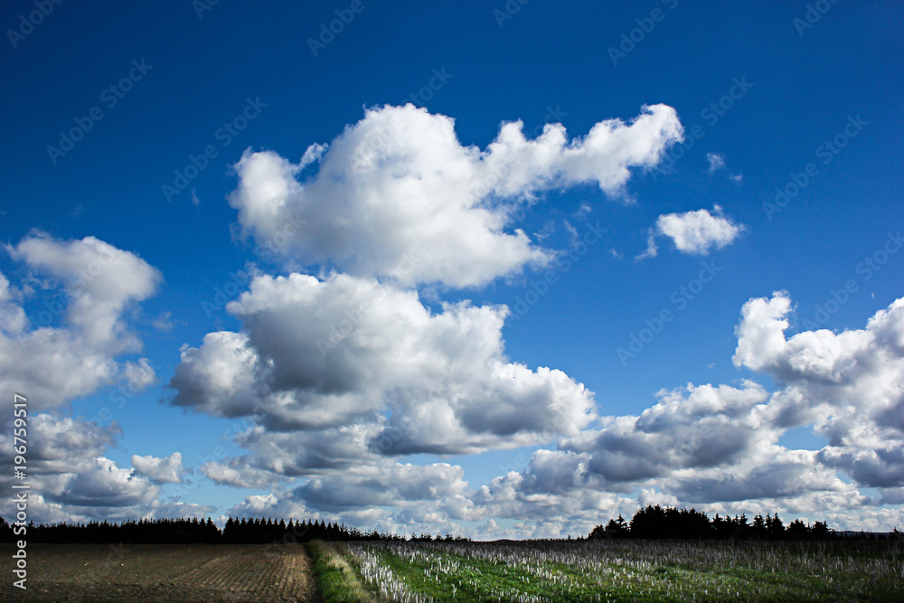 Ice Crystals In Clouds