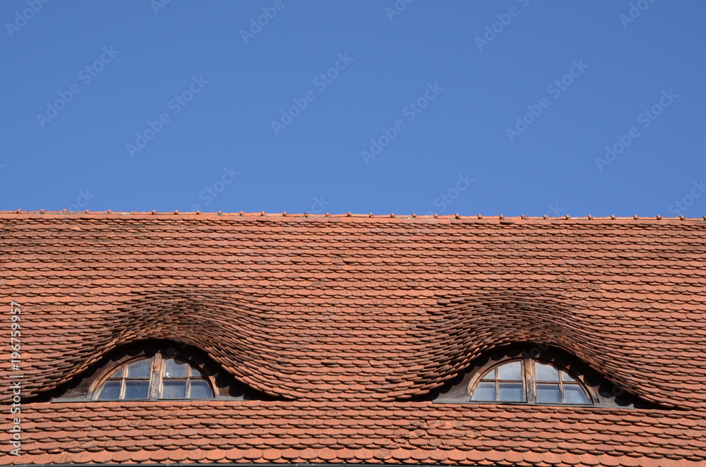Symmetrical roof windows that look like eyes Stock Photo | Adobe Stock