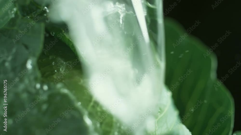 Water splash on broccoli. Shot with high speed camera, phantom flex 4K ...