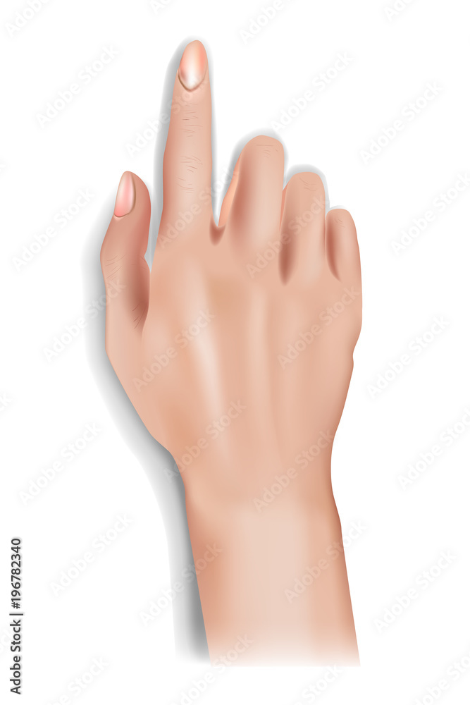 Realistic female hand 3d. Hand isolated on white background. Vector ...