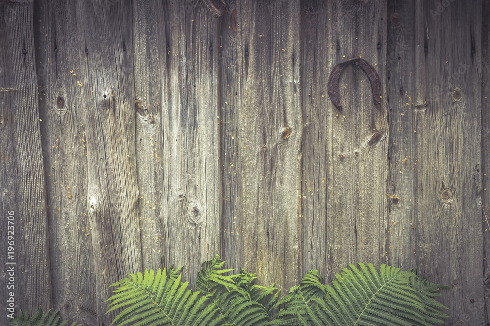 Rustic wood wall vintage countryside cabin fence background with fern ...