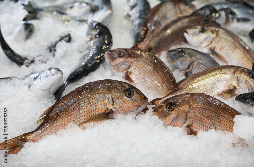 Porgy or Pagrus pagrus, seabream fishes on ice for sale in the greek ...
