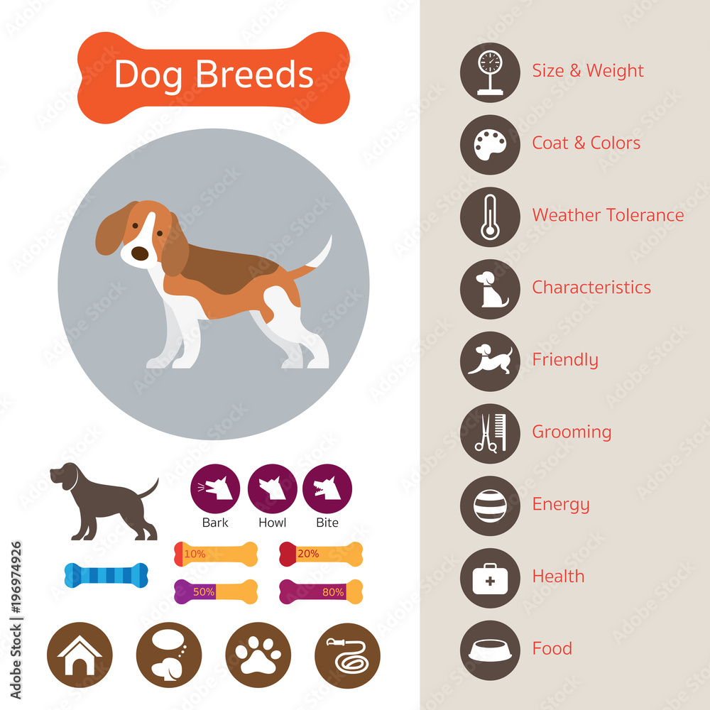 Dog Breeds, Infographic, Icon, Symbol, Design Element Stock Vector ...