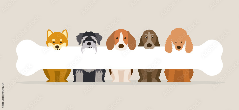 Poster Group of Dog Breeds Holding Bone, Front View, Pet, Background ...