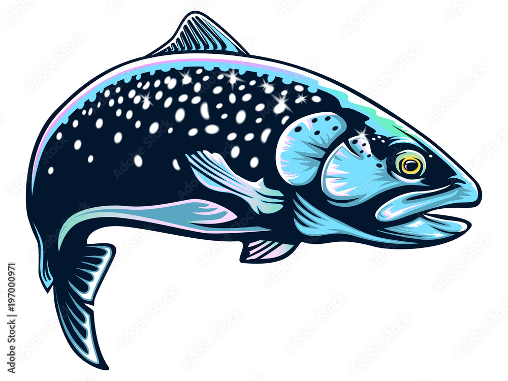 Realistic drawing of the rainbow trout jumping out water.Sketch ...