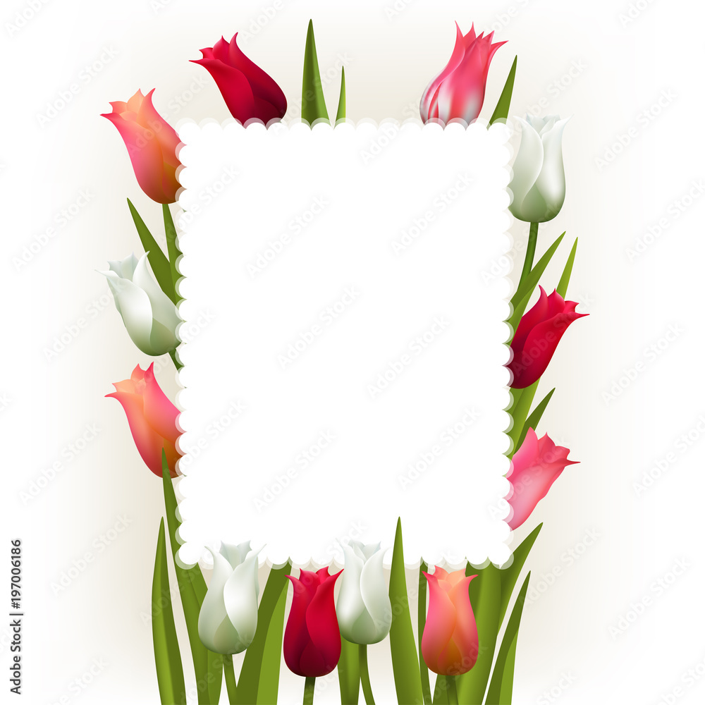 Tulips. Flowers. Bouquet. Border. Floral background. Square frame ...
