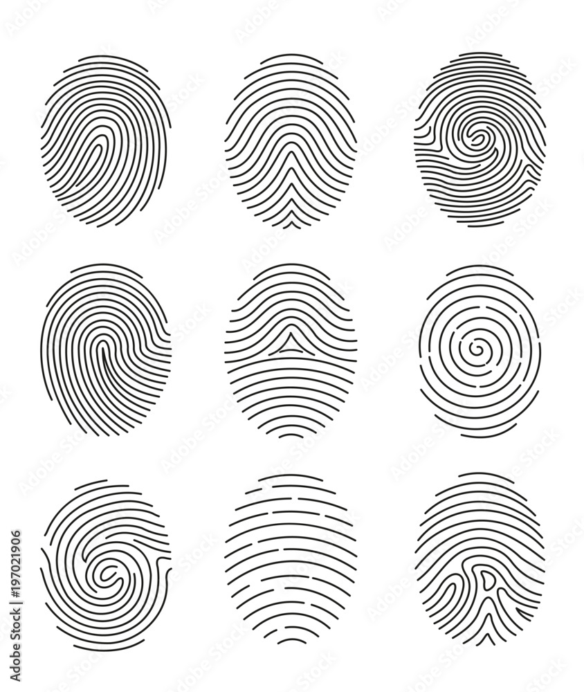 Vector illustration set of nine black line fingerprint types on white ...