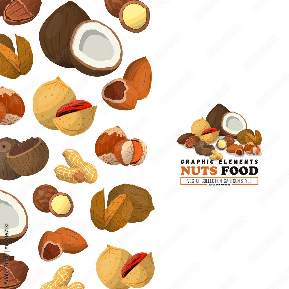 Nuts label, banner, product card cover. Nut food of cashew, walnut ...