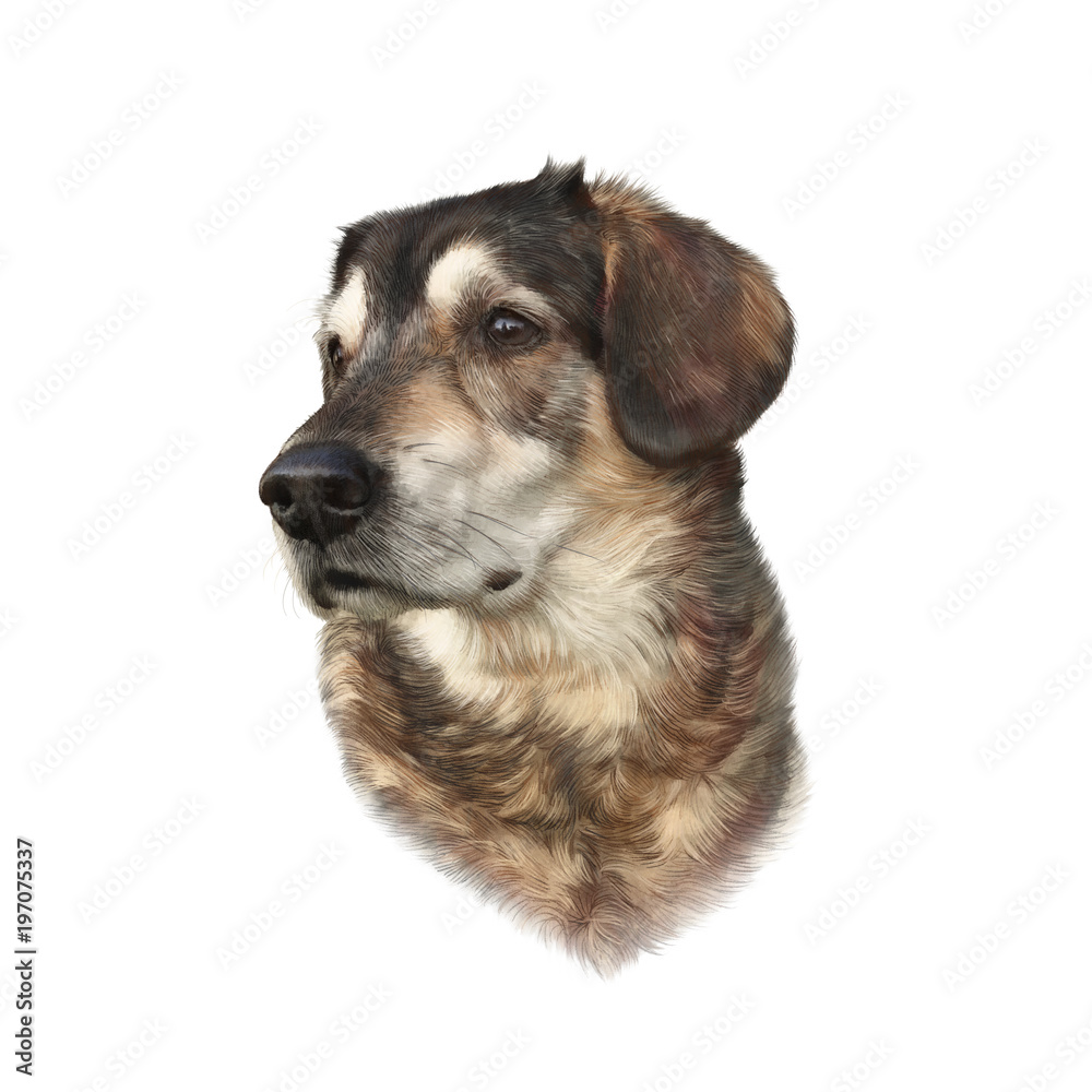 Cute Big Brown Dogs