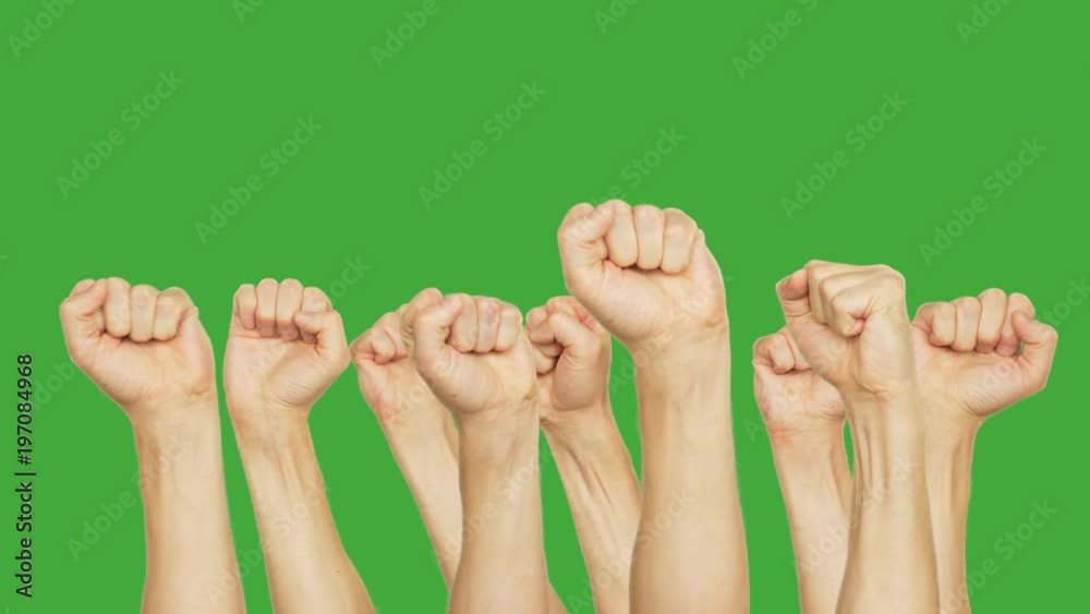 People raising up clenched fist on meeting in crowd on green background ...