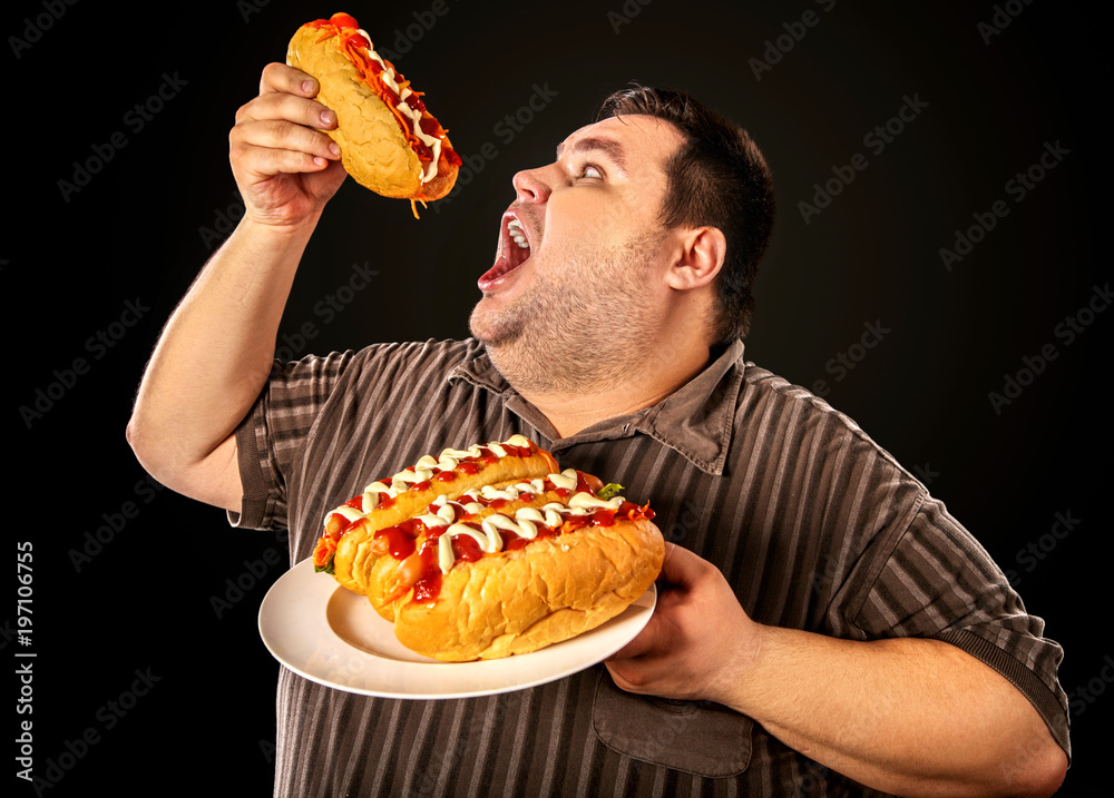 Fat Man Eating Fast Food Hot Dog On Plate Breakfast For Overweight Fat Man Eating Fast Food Hot Dog On Plate Breakfast For Overweight