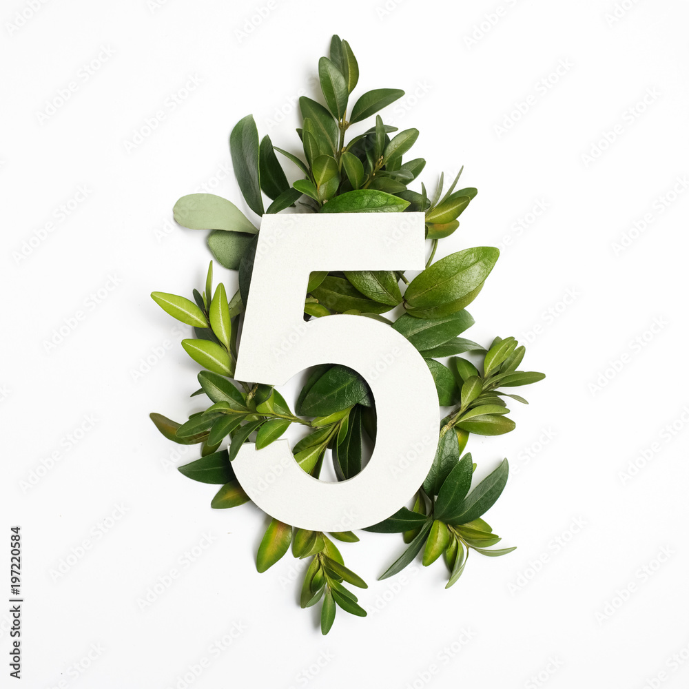 Number five shape with green leaves. Nature concept. Flat lay. Top view ...