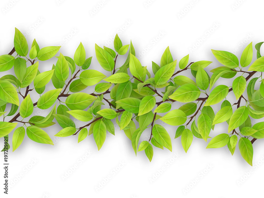 Seamless border from tree branches with green leaves. Stock Vector ...