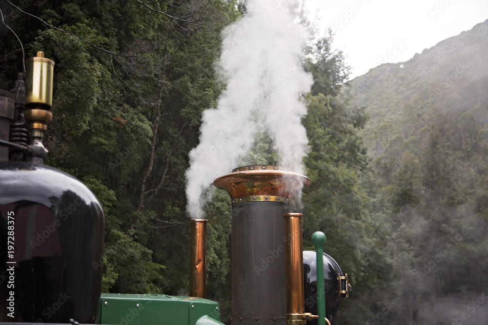 Steam Emitted From The Engine Of An Old Steam Train Stock Photo | Adobe ...