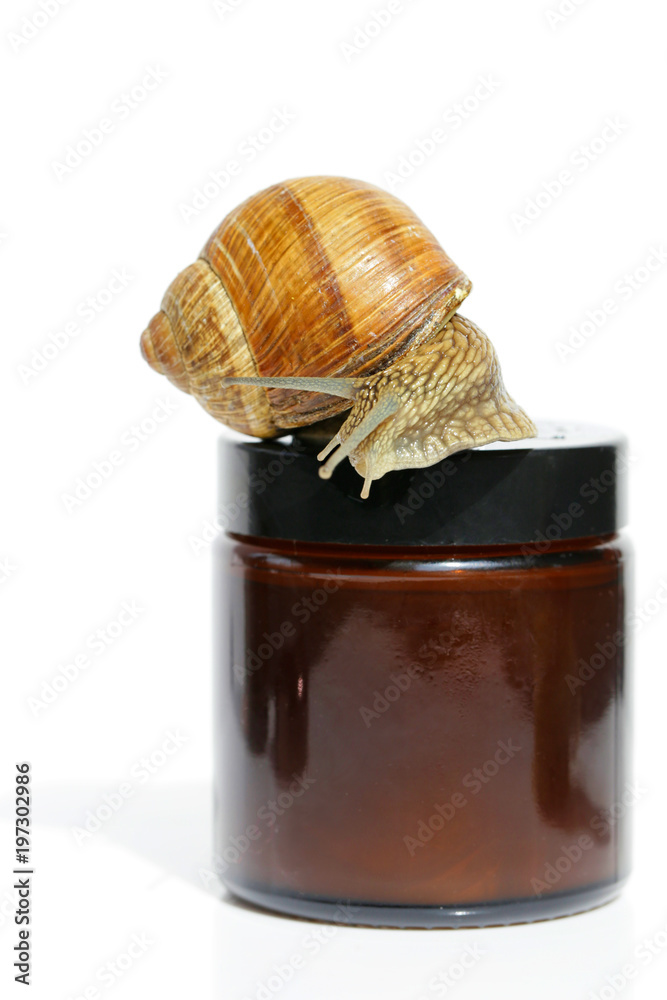 Snail slime. Snail Cream Product. Snail Extract Gel. cosmetic with ...