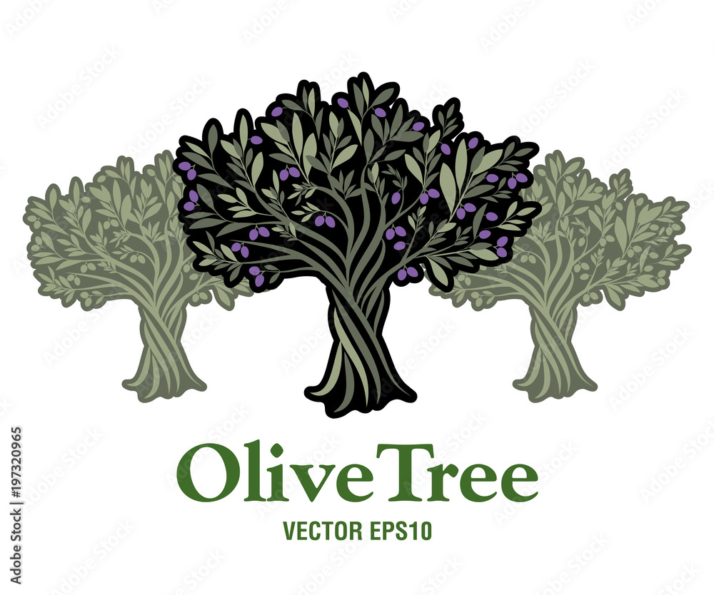 Olive Tree. Extra virgin olive oil symbol. Symbol of culture and ...