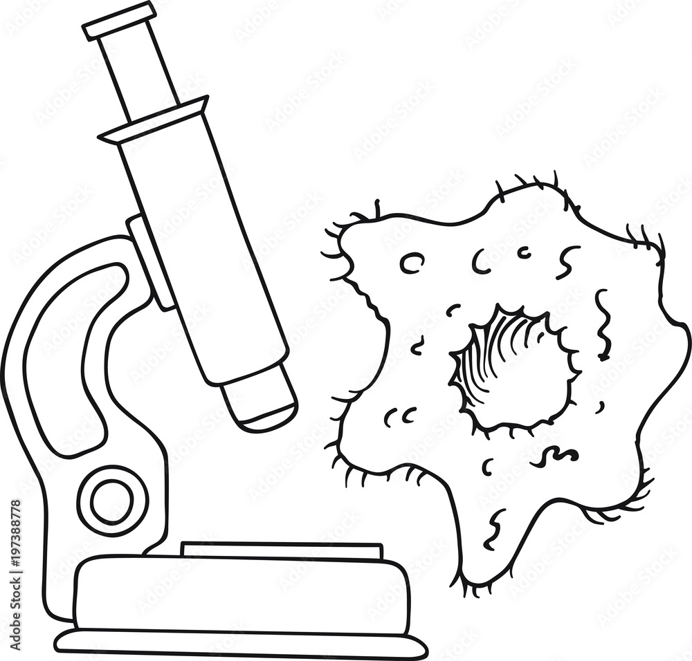 Microscope Clip Art